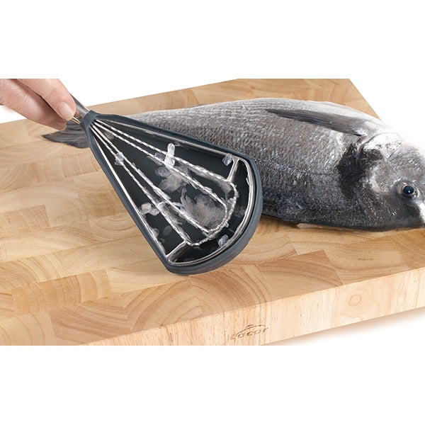 Grattoir à poisson inox Lacor - www.mathon.fr